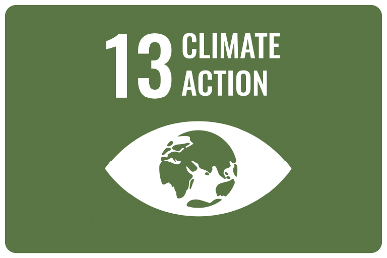 Sustainable Development Goals: Internationalization at Home: Global ...